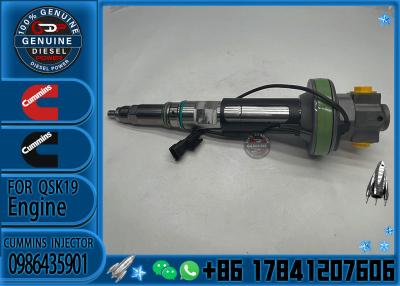 China Genuine Fuel Injector Assembly Y431K05392 0986435615 0986435904 0986435901 For Qsk19 Engine for sale