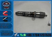 China common rail fuel injector4088427 4928346 4928349 4010025 4087894injector for for sale