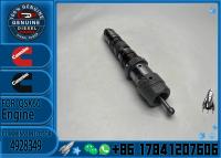 China common rail fuel injector4088427 4928346 4928349 4010025 4087894injector for for sale