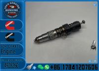 China Engine Parts ISX15 QSX15 Common Rail Fuel Injector 4928260 2874505 4903472 for sale