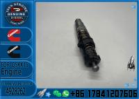 China QSKX15 ISX15 Fuel Injector Nozzle Assembly 4062568 4928262 4076912 4088301 4954644 4076902 for sale