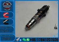 China 4954434 Diesel QSX15 ISX15 Engine Common Rail Fuel Injector 4928260PX 4062569RX 4928260 4062569 4062569NX for sale