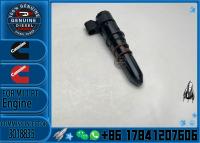 China Construction Machinery PartsFuel Injector ForM11 PTDiesel4914328 3018835PXFor  Diesel Engine for sale