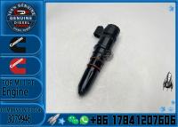 China Construction Machinery PartsFuel Injector ForM11 PTDiesel13071497 4914328 3079946PXFor  Diesel Engine for sale
