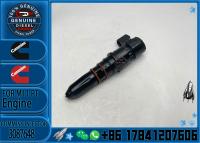 China Construction Machinery PartsFuel Injector ForM11 PTDiesel3071497 3087648PXFor  Diesel Engine for sale