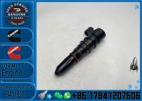 China Diesel Engine Fuel Injector 4903084 4061851 4902921 3411752 For  M11 ISM11 Engine for sale