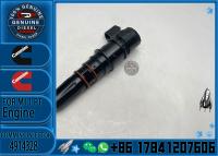 China Construction Machinery PartsFuel Injector ForM11 PTDiesel13071497 4914328 3079946PXFor  Diesel Engine for sale
