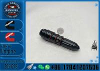 China Construction Machinery Engine NT855 Nozzle Common Rail Injector 3054218 Diesel Fuel Injector Assembly for  NT855 for sale