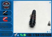 China Diesel Engine Parts Fuel Injector  4914308 4914325 4914328 Nozzle Ccec Nta855 for sale