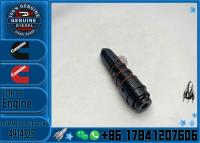 China Diesel Engine Parts Fuel Injector  4914308 4914325 4914328 Nozzle Ccec Nta855 for sale