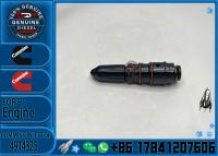 China Diesel Engine Parts Fuel Injector  4914308 4914325 4914328 Nozzle Ccec Nta855 for sale