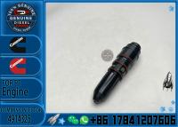 China Diesel Engine Parts Fuel Injector  4914308 4914325 4914328 Nozzle Ccec Nta855 for sale