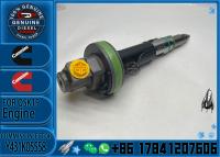 China Brand New Diesel High Pressure Common Rail Fuel Injector Y431K05558 Y431K05417 4964170 4964171 2867149 For QSK19 Diesel Engine for sale