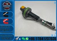 China Diesel High Pressure Common Rail Fuel Injector Y431K05558 Y431K05417 4964170 4964171 2867149 For QSK19 Diesel Engine for sale