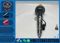China Diesel High Pressure Common Rail Fuel Injector Y431K05558 Y431K05417 4964170 4964171 2867149 For QSK19 Diesel Engine for sale