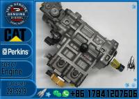 China 2641A312 3178021 317-8021 10R7660 368-9171 291-5919 276-8398 2641A407 2641A306 C6.6 injection pump for Caterpillar 320D for sale