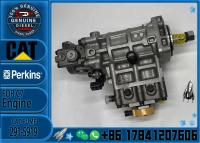 China 2641A312 3178021 317-8021 10R7660 368-9171 291-5919 276-8398 2641A407 2641A306 C6.6 injection pump for Caterpillar 320D for sale