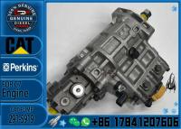 China 2641A312 3178021 317-8021 10R7660 368-9171 291-5919 276-8398 2641A407 2641A306 C6.6 injection pump for Caterpillar 320D for sale