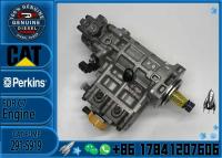 China 2641A312 3178021 317-8021 10R7660 368-9171 291-5919 276-8398 2641A407 2641A306 C6.6 injection pump for Caterpillar 320D for sale