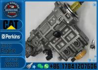 China Fuel Pump 3240532 2641A405 2641A450R Fuel Injection Pump 324-0532 295-9125 For 315D C4.4 Engine for sale