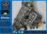 China Fuel Pump 3240532 2641A405 2641A450R Fuel Injection Pump 324-0532 295-9125 For 315D C4.4 Engine for sale