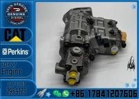 China Fuel Pump 3240532 2641A405 2641A450R Fuel Injection Pump 324-0532 295-9125 For 315D C4.4 Engine for sale
