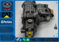 China Diesel Engine Diesel Fuel Injection Pump 315-3019 For Caterpillar 320D Excavator 3153019 C6.6 for sale