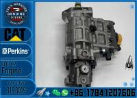 China Diesel Engine Diesel Fuel Injection Pump 315-3019 For Caterpillar 320D Excavator 3153019 C6.6 for sale