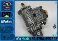 China Diesel Engine Diesel Fuel Injection Pump 315-3019 For Caterpillar 320D Excavator 3153019 C6.6 for sale