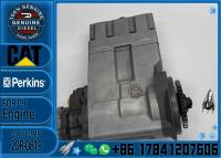 China Common Rail Injection Pump 319-0678 304-0678 Fuel Pump 312-0678 10R-7148 10R-8900 for sale