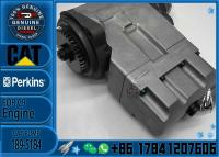 China Diesel engine fuel Pump 189-5184 10R-8899 476-8766 20R-1649 for C7 C9 Excavator for sale