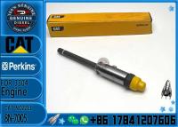 China 3304 3406 Engine Diesel Injector 8N-7005 8N7005   0R-3423 0R-8785 0R-3424 for sale