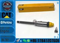 China 3304 3406 Engine Diesel Injector 8N-7005 8N7005   0R-3423 0R-8785 0R-3424 for sale