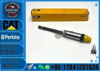 China Fuel Common Rail Injector 0R-8787  170-5181 0R-3422 7W7026 4W7016 4W7018 7W7032 7W7031 for sale