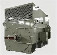 China High Pressure Power Plant Equipment Explosion Proof High Voltage Motor With Operation Above 1kV for sale