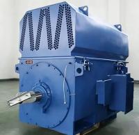 China High Pressure Power Plant Equipment Explosion Proof High Voltage Motor With Operation Above 1kV for sale