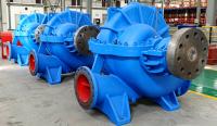 China Low Noise Split Case Centrifugal Pump Customized High Suction Lift Pump Easy Disassembly for sale