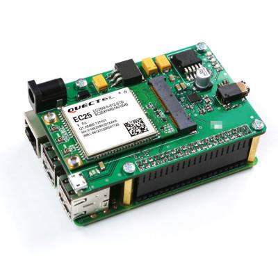 China Customizable Gold Thickness 2U-5U Industrial PCB Assembly for Customer Requirements for sale