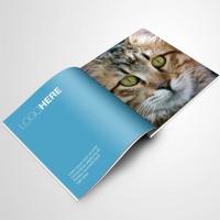 China Custom Manga Coloring Book Printing Service 500 MOQ with Offset Printing and Multiple Binding Options for sale