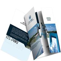 China Custom 120g Coated Paper Trifold Brochure Printing - Business Flyers, Catalogs & Manuals with 7-15 Day Delivery for sale