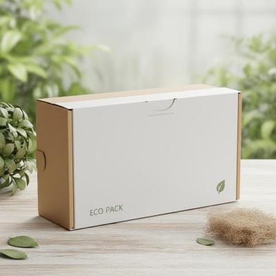 China Custom Made Foldable Packing Paper Box with Coated Paper for Durable and Eco-Friendly Packaging for sale