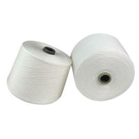 China Natural Fibers Ecolife Yarns  100 Recycled Polyester Yarn Earth Tone Colors for sale