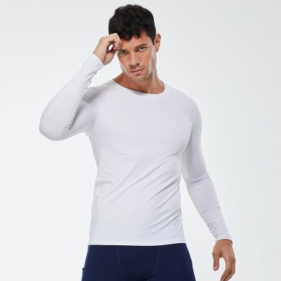 China Wholesale Custom Gym Muscle Sports Blank Logo Long Sleeve Anti-Wrinkle T-shirt Slim Fit Men's Sport T-Shirt for sale