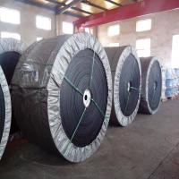China Heavy Duty EP Nylon Fabric Conveyor Belt EP200 1200mm Width for Mining Cement Coal for sale