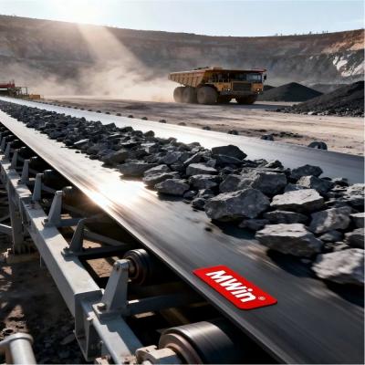 China DIN Standard Nylon Canvas Rubber Conveyor Belt Customized Width for Cement Plant for sale