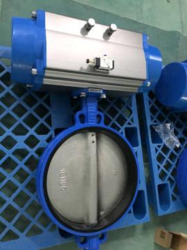 China Double Acting Pneumatic Valve Actuator Rotary for sale
