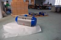 China 90 Degree Air Torque Pneumatic Actuator Single Acting Type for sale