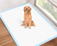 China PSA Pressure Sensitive Adhesive for Pet Training Pad Raw Material for sale