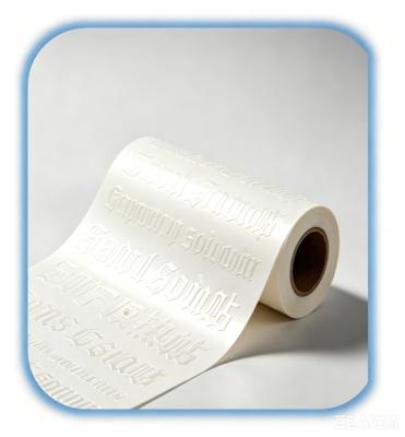 China Premium PU Heat Transfer Vinyl for Custom T-Shirts, Sportswear and Team Uniforms Logos for sale