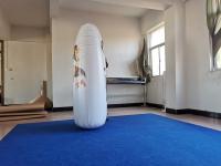 China Customized quality PVC inflatable anime inflatable pillow for sales for sale